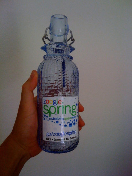 Search In Pics: Google + Pin, Zoogle Water & Matt Cutts Panda