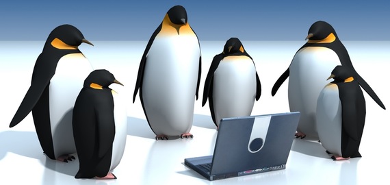 Google Penguin Update Recovery Tips & Advice