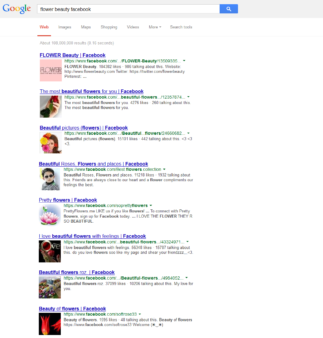 Google Officially Testing Images In Web Search Results Snippets