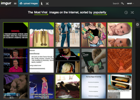 Find Cat Pictures Quicker: Imgur Rolls Out A New Look With Advanced Image Search