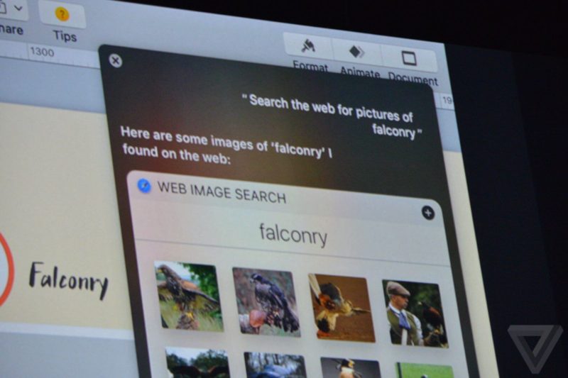 Apple brings Siri to Mac, new exposure for non-Google search engines