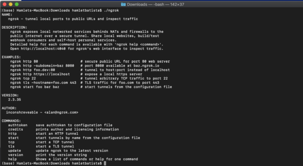 How to audit sites inside corporate networks