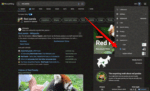 Bing Search and Bing Chat officially rolling out dark mode - Amplitude ...