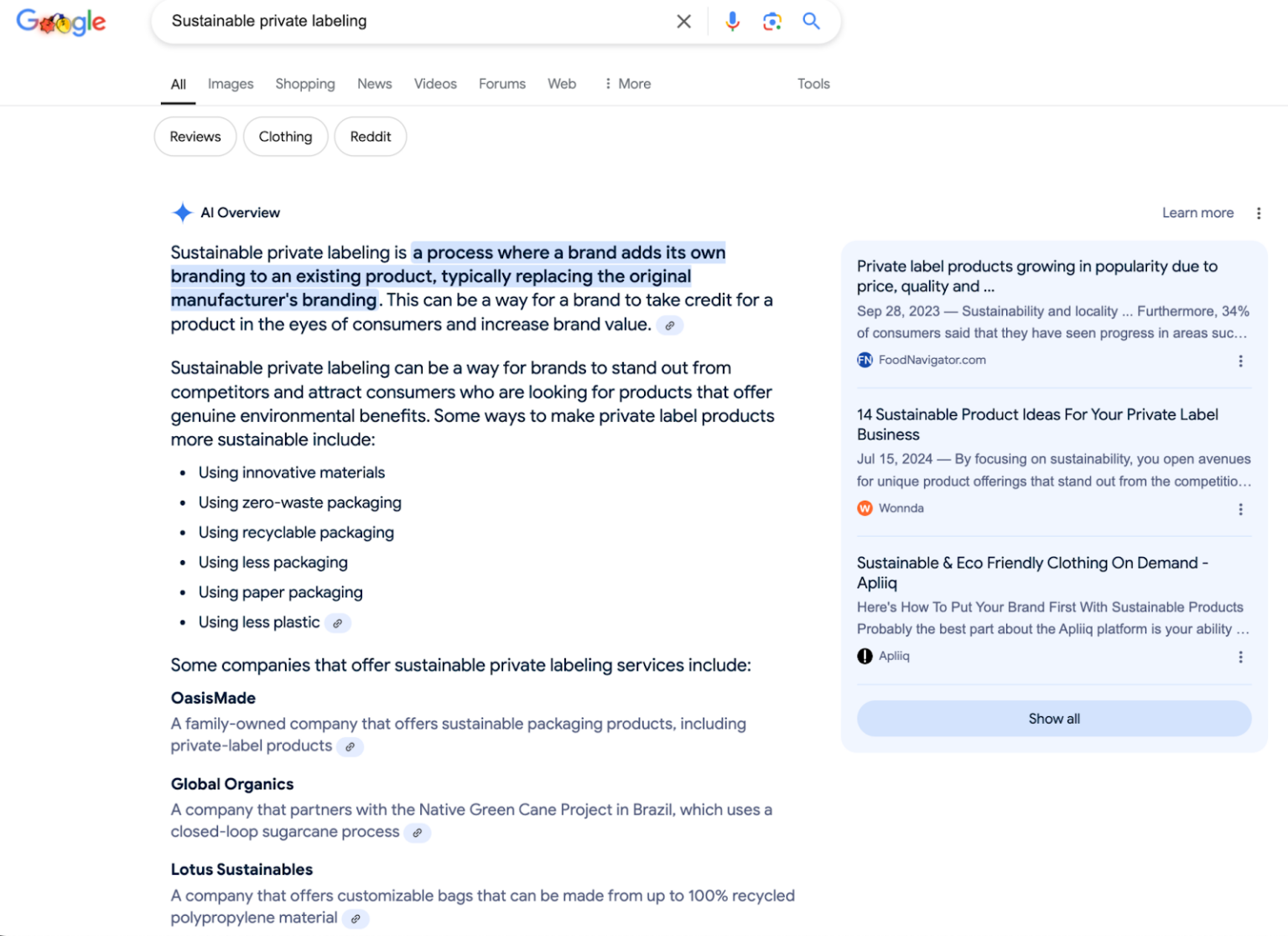 Google AI Overviews: Everything you need to know